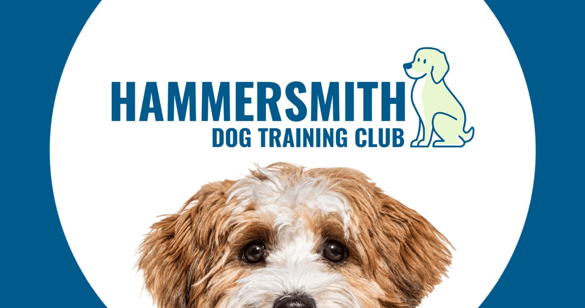 Dog Trainer West London | Hammersmith Dog Training Club
